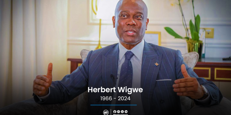 BIOGRAPHY - The Man Herbert Wigwe | Techeconomy
