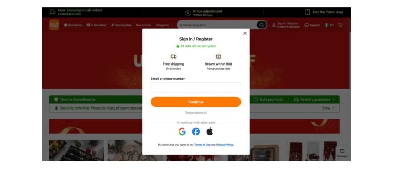 A Beginner's Guide to Temu | Tech | Business | Economy