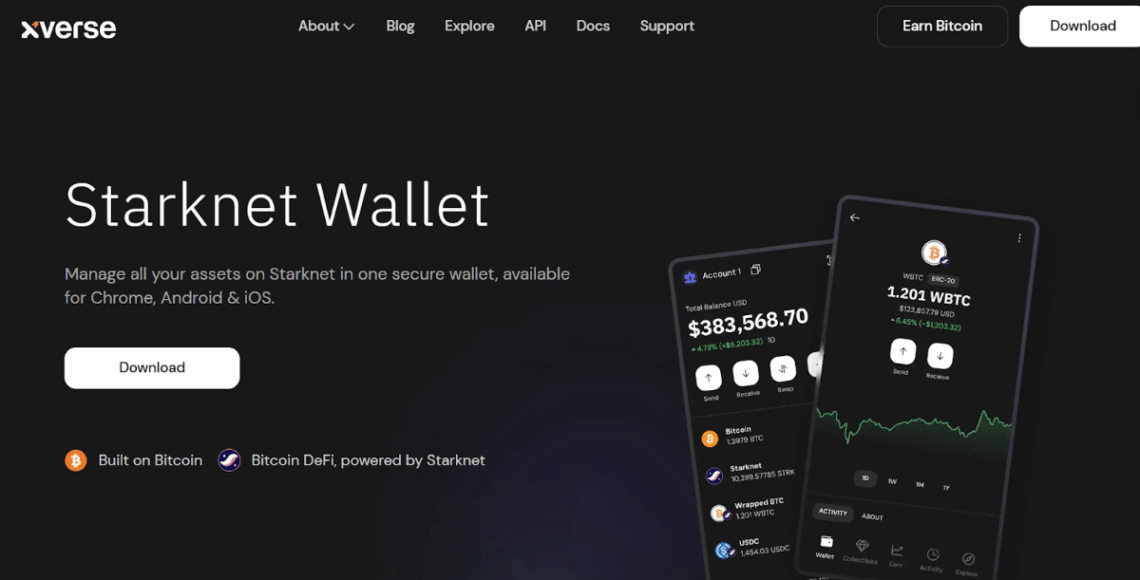 Best Wallets for Starknet (STRK), Reviewed for 2025