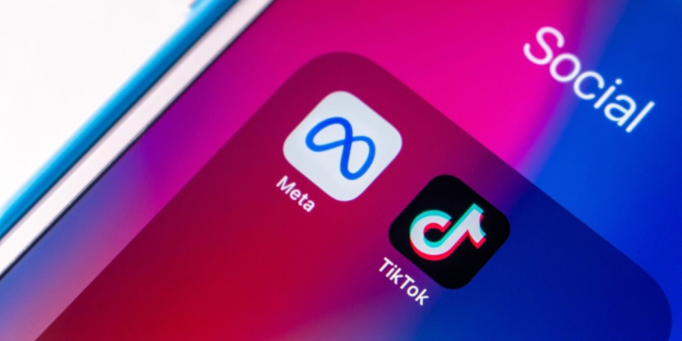 Meta, TikTok Win EU Court Case Over DSA Fees